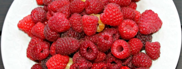 Growing Great Raspberries | Campbell River Garden Centre
